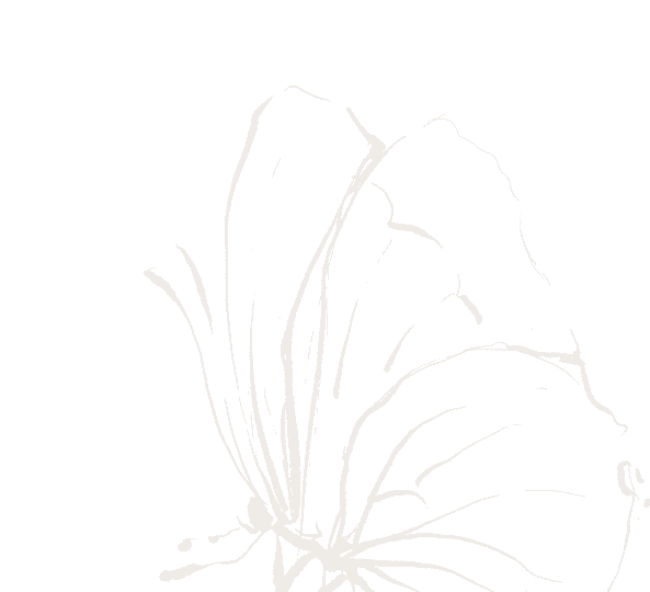 Java Rain Resort | Java Rain Resort